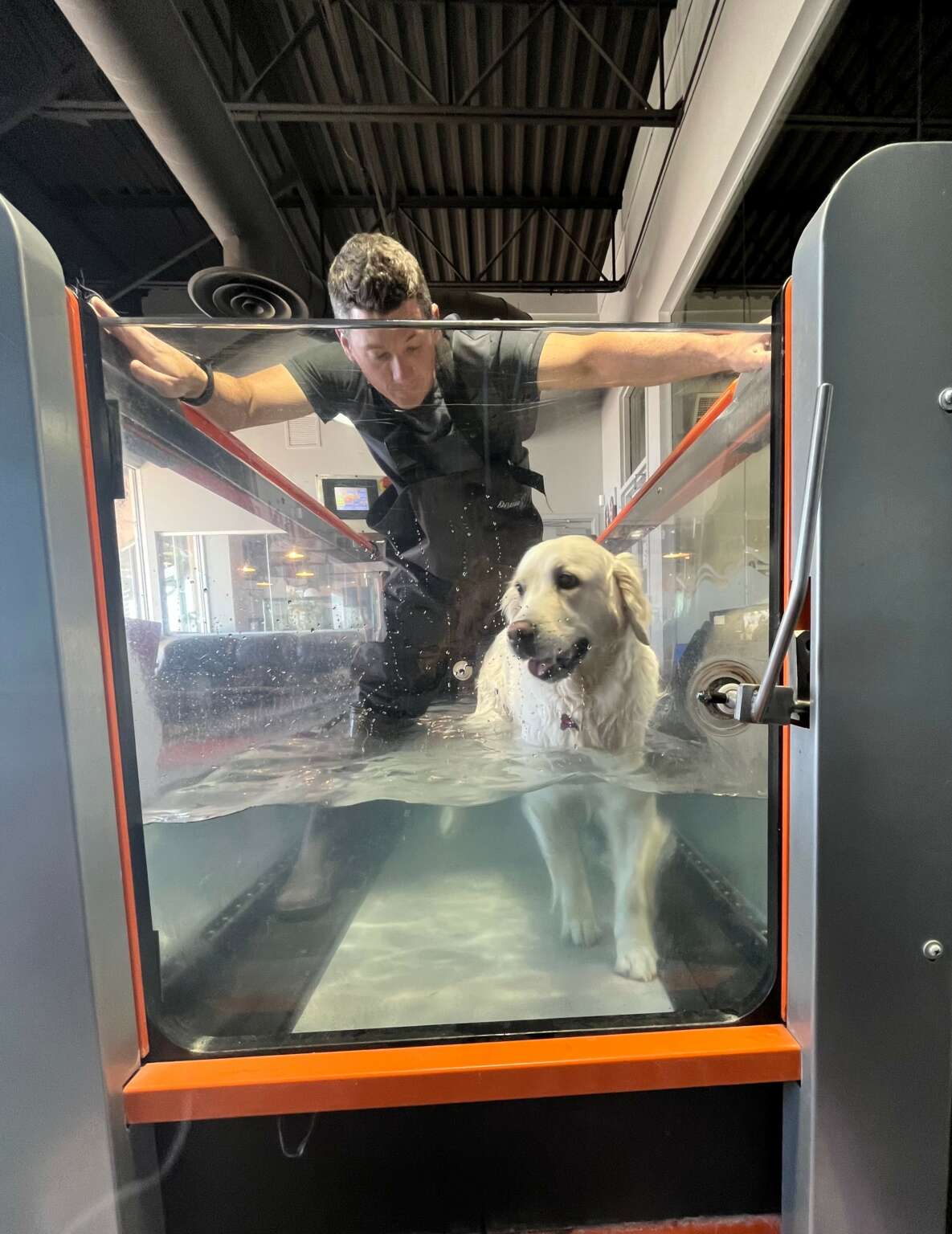 Meet Daniel Walters – CanvasRebel Magazine