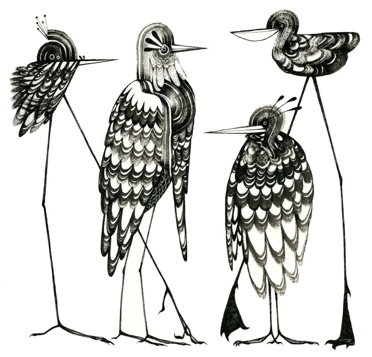 Meet David Habben – CanvasRebel Magazine