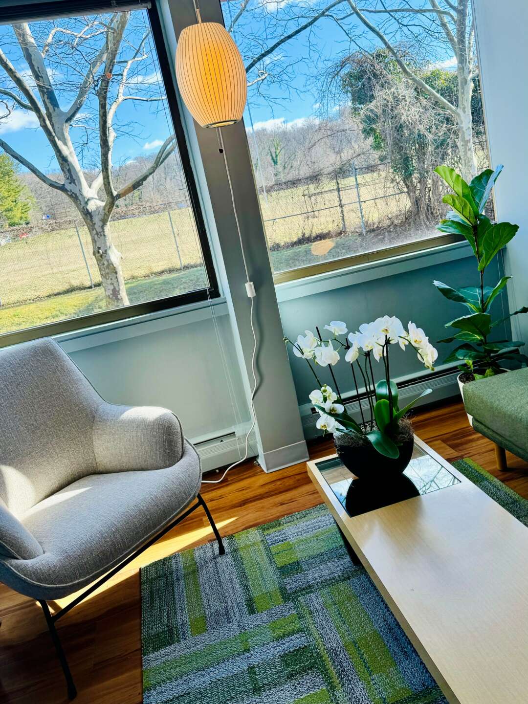 Meet David Meredith – CanvasRebel Magazine