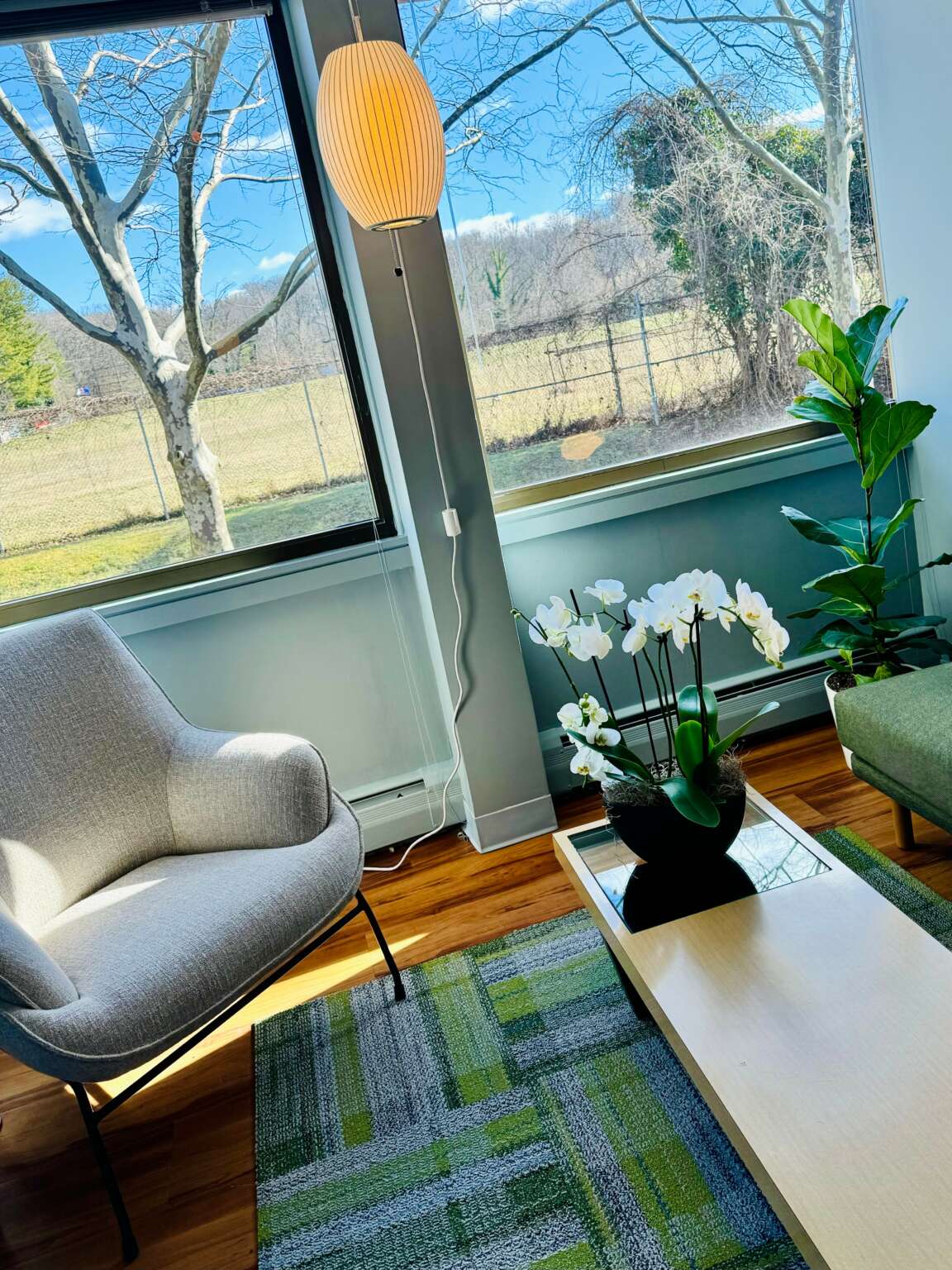 Meet David Meredith – CanvasRebel Magazine