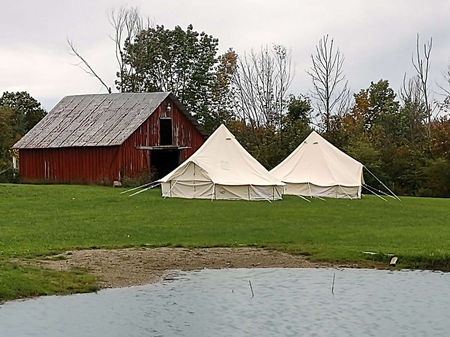 Meet Dawn Perry – CanvasRebel Magazine