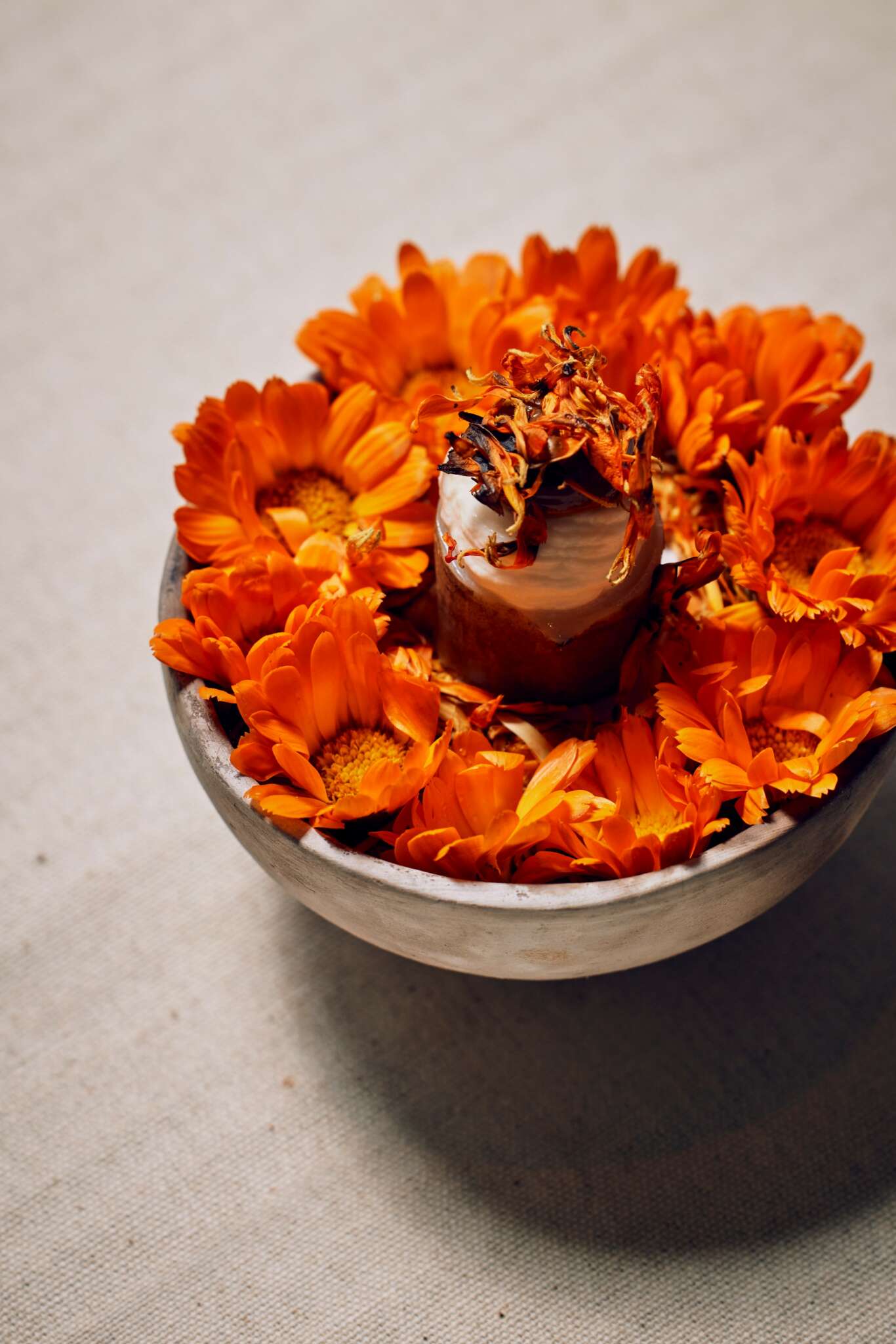 Meet Harrison Cheney – CanvasRebel Magazine