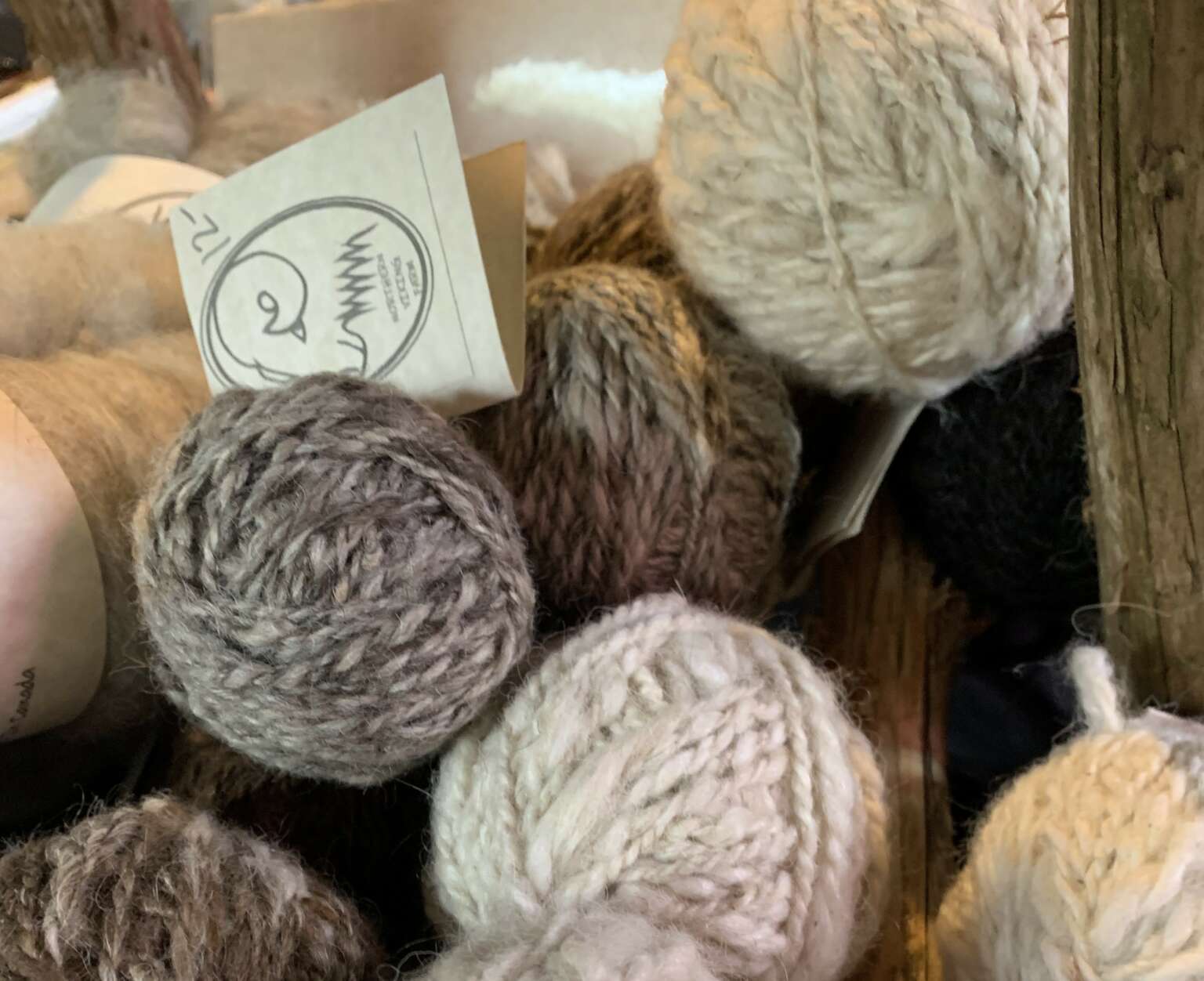 Meet Kathryn Stuart – CanvasRebel Magazine