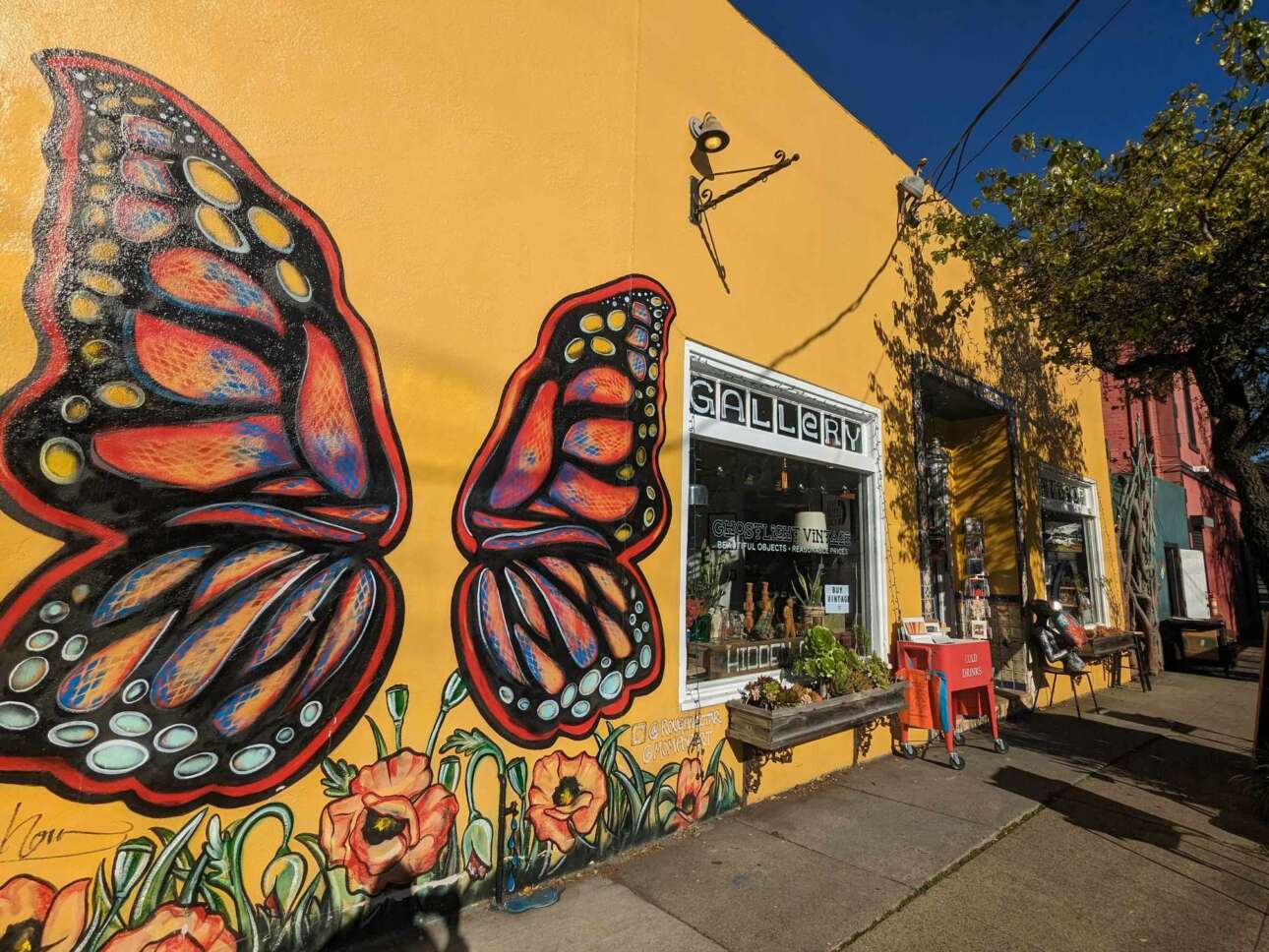 Meet Kelly Nicolaisen – CanvasRebel Magazine