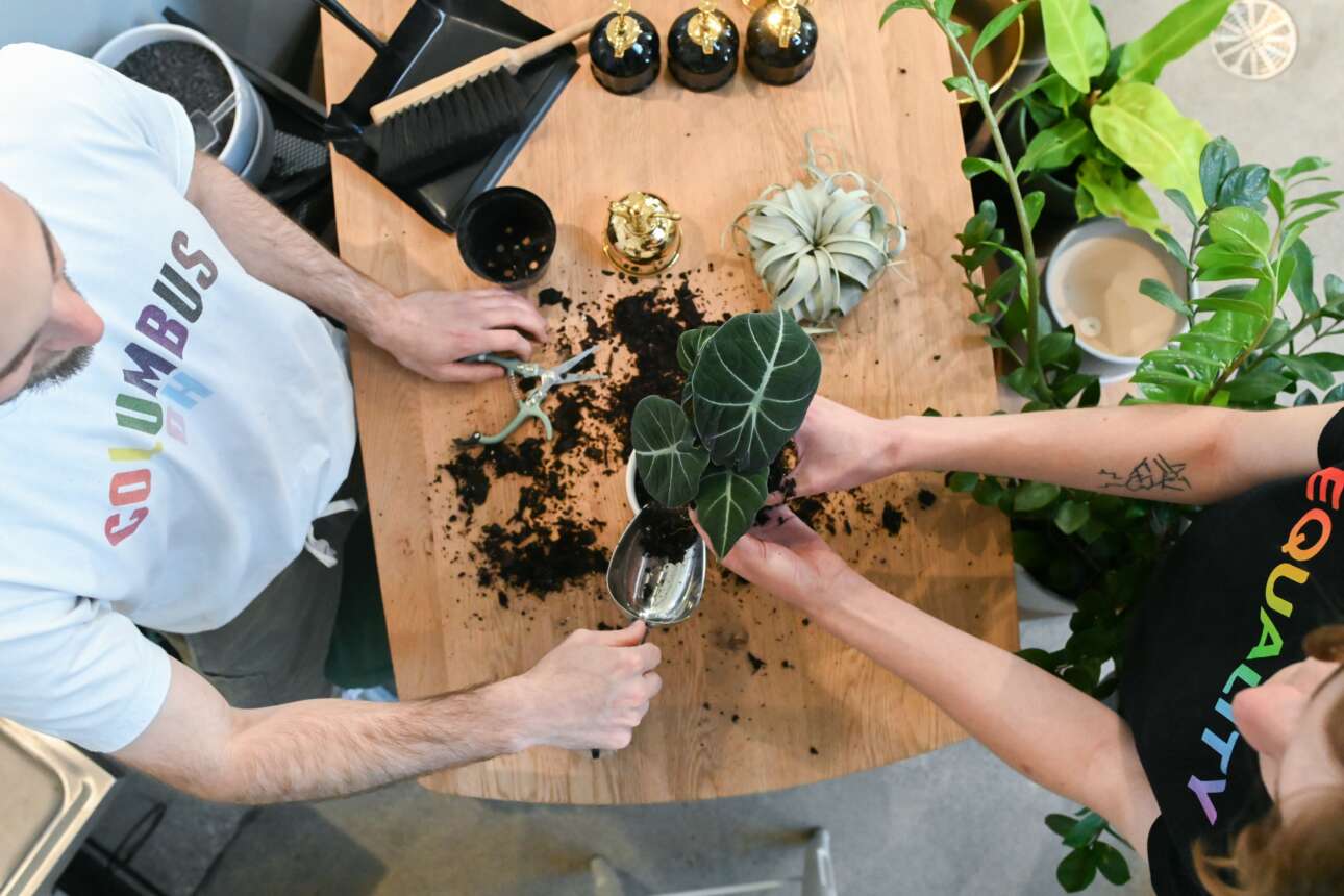 Meet David Erbe - CanvasRebel Magazine