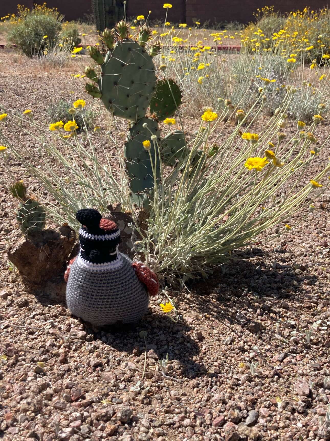 Meet Logan Saxon - CanvasRebel Magazine