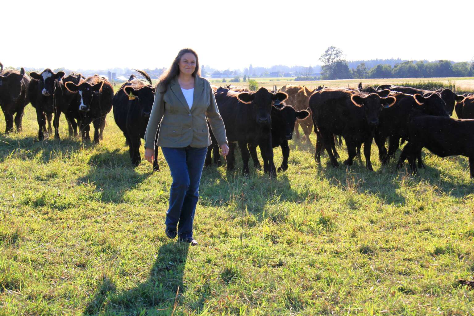 Meet Sandra Matheson – CanvasRebel Magazine