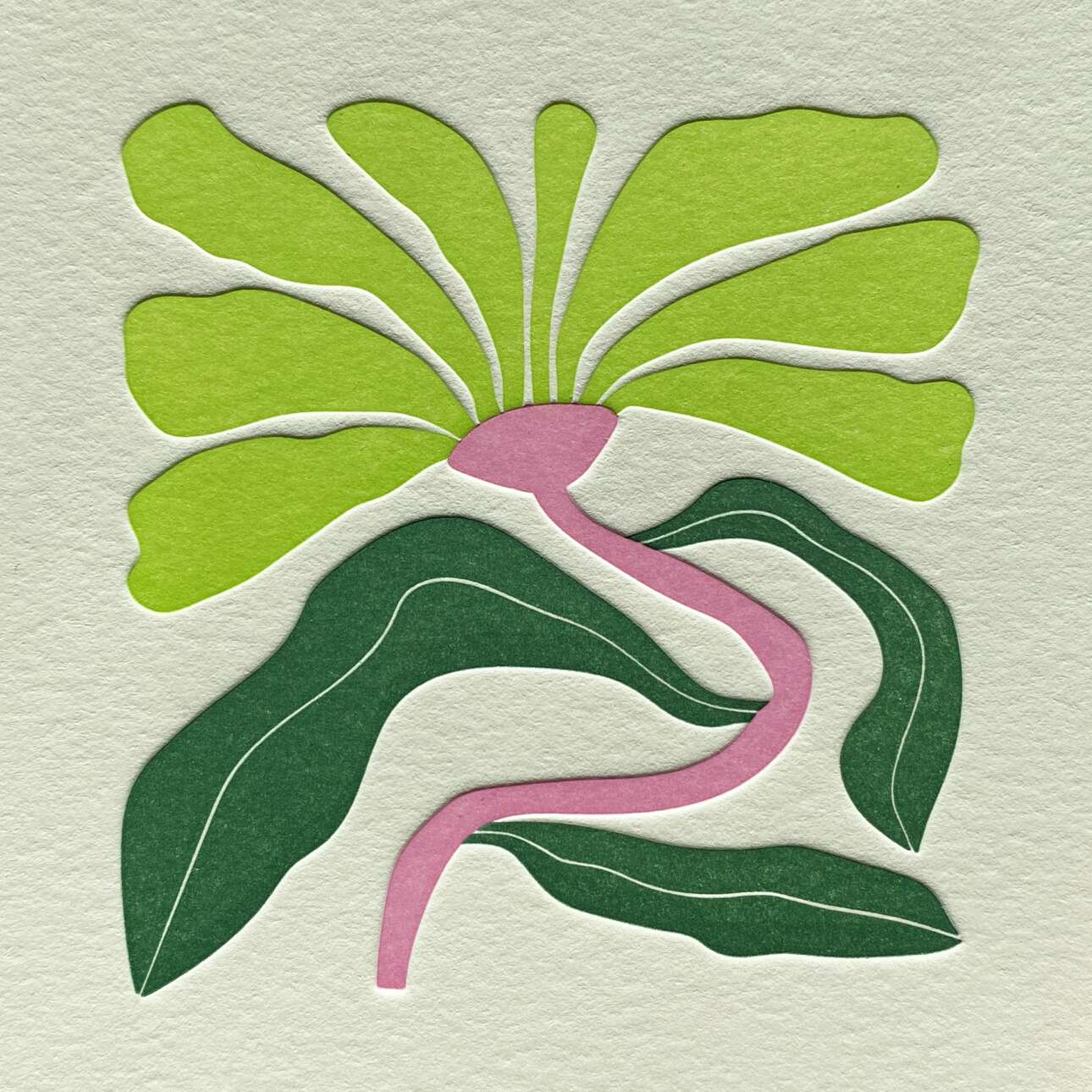 Meet Sarah Lazar – CanvasRebel Magazine