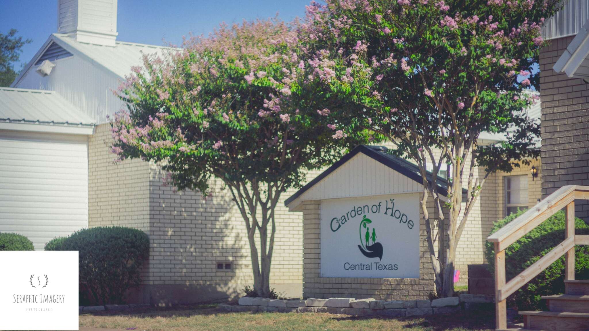 Meet Tina Capito – CanvasRebel Magazine