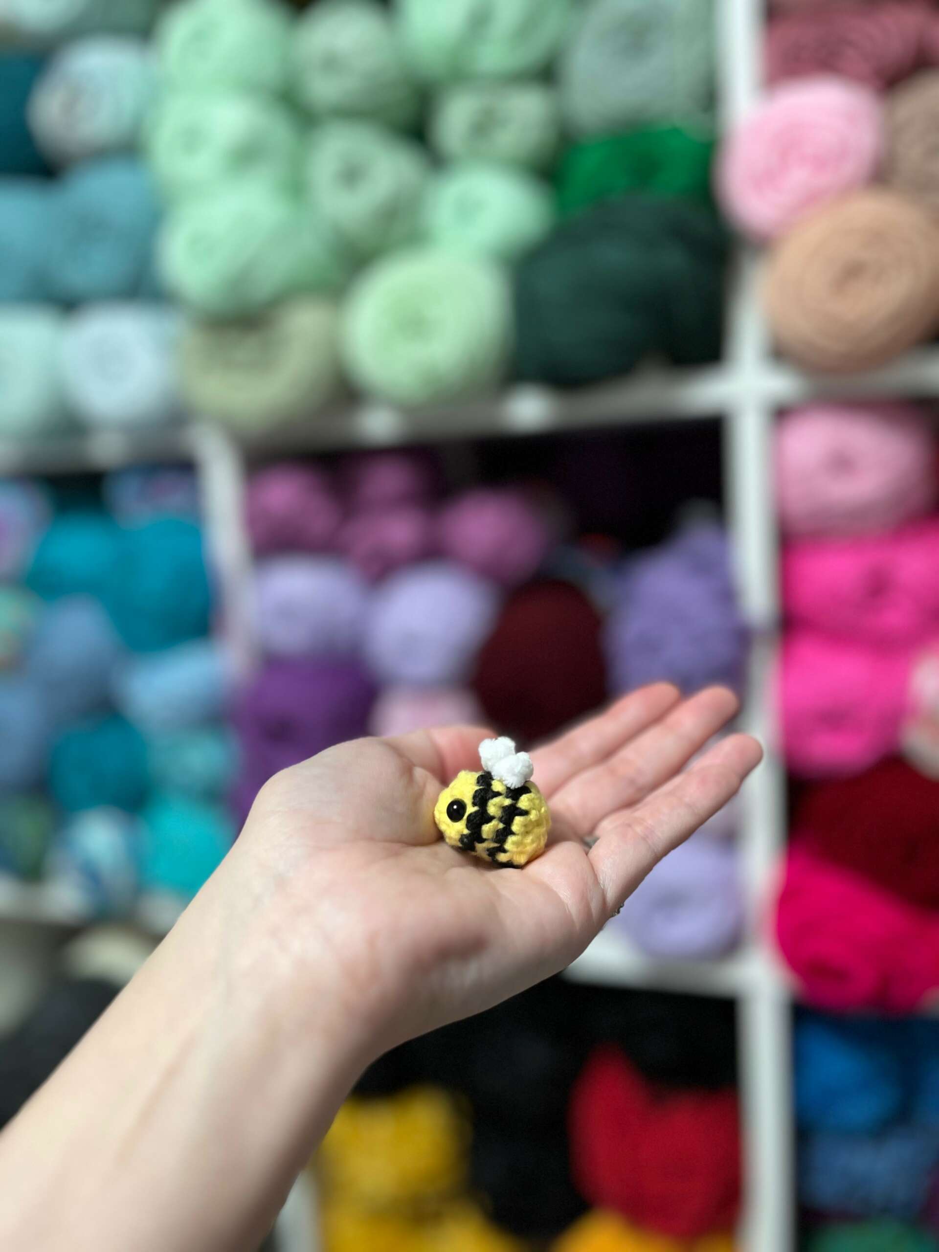 Meet Jodie Erickson – CanvasRebel Magazine