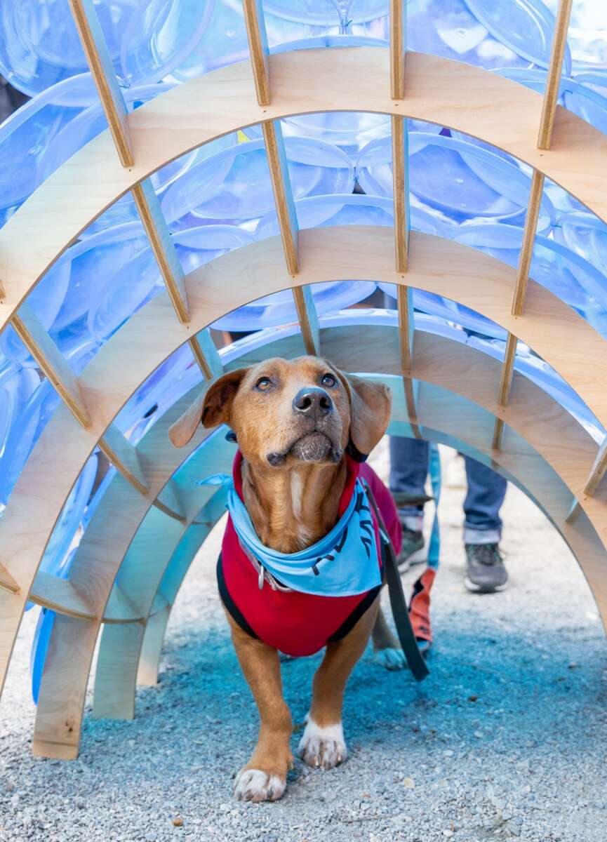 Meet Joshua Thomasson – CanvasRebel Magazine