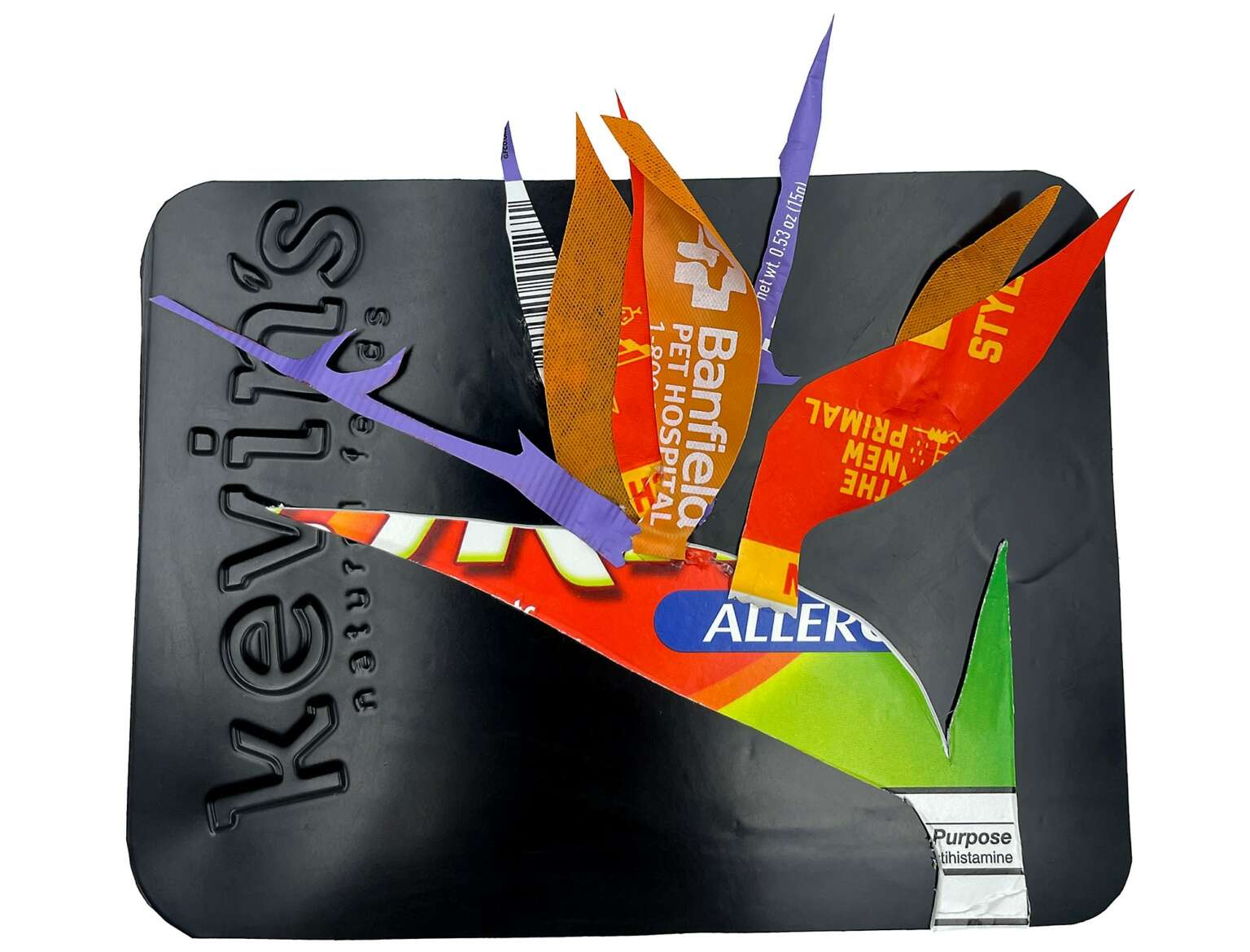 Meet Neha Luhar-Trice - CanvasRebel Magazine