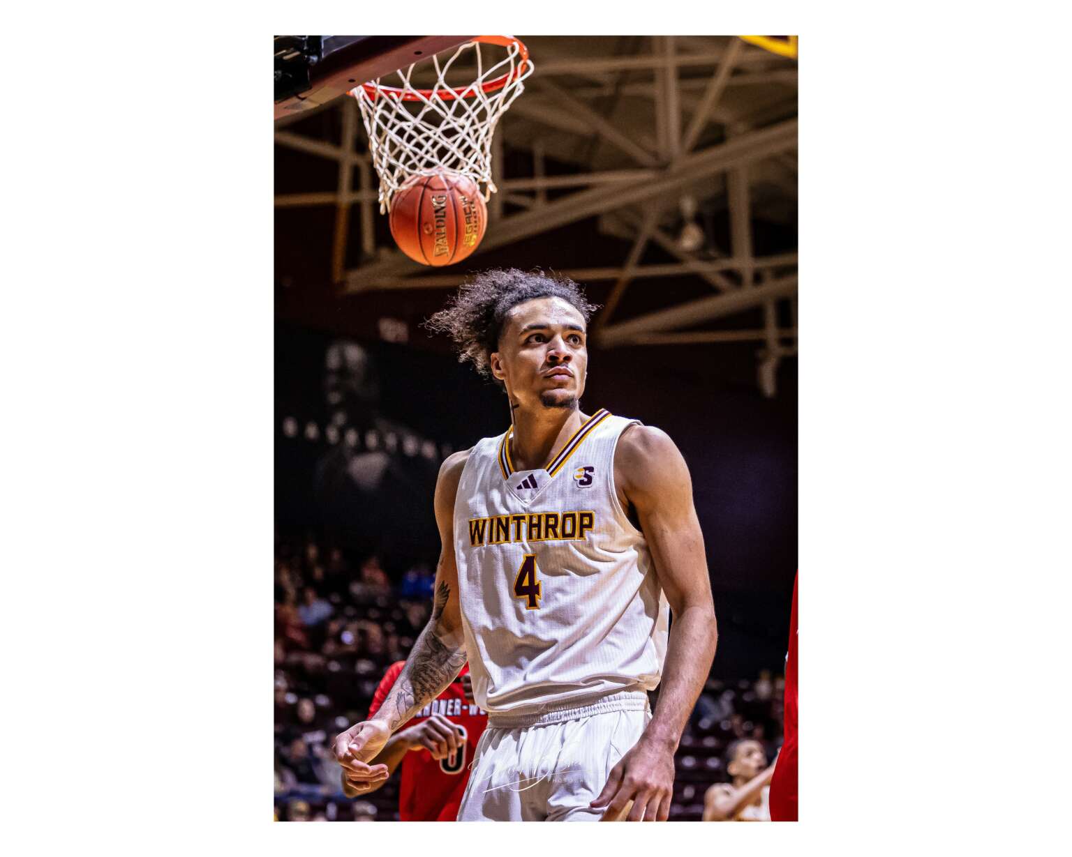 Meet Patrick Shea – CanvasRebel Magazine