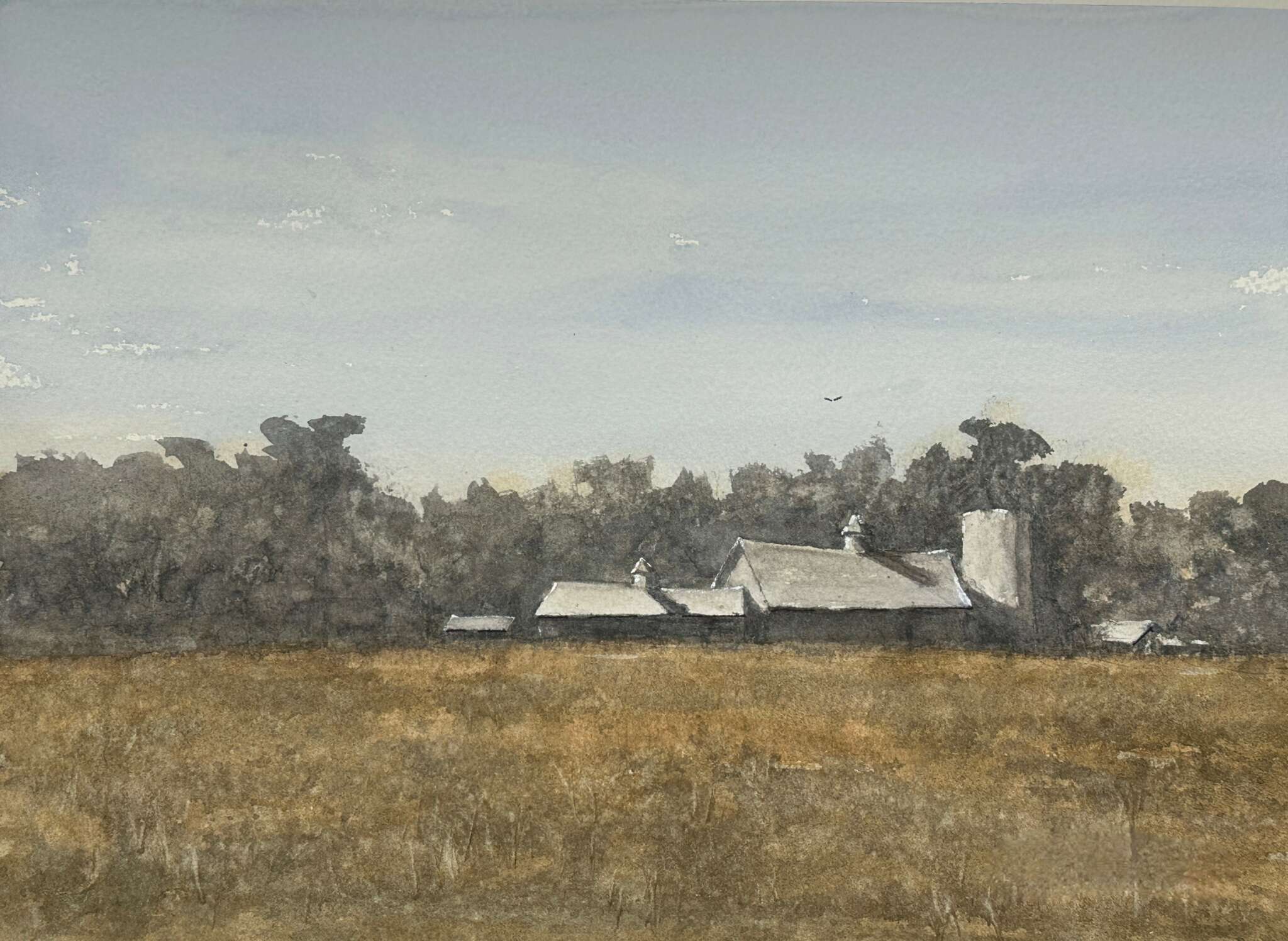 Meet Tom Brown - CanvasRebel Magazine