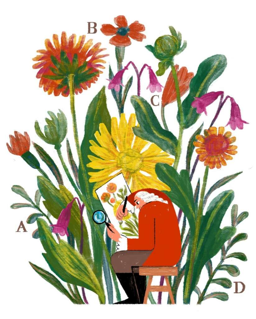 Meet Kimberlie Clinthorne-Wong – CanvasRebel Magazine