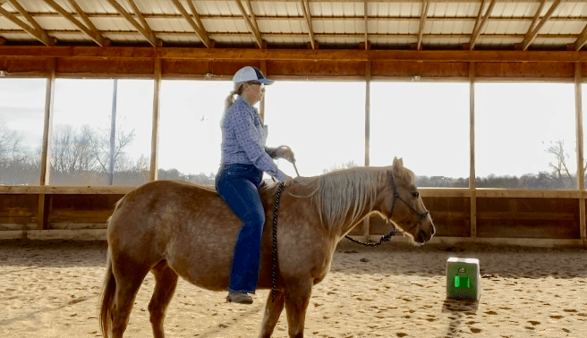 Meet Nancy Lamb – CanvasRebel Magazine