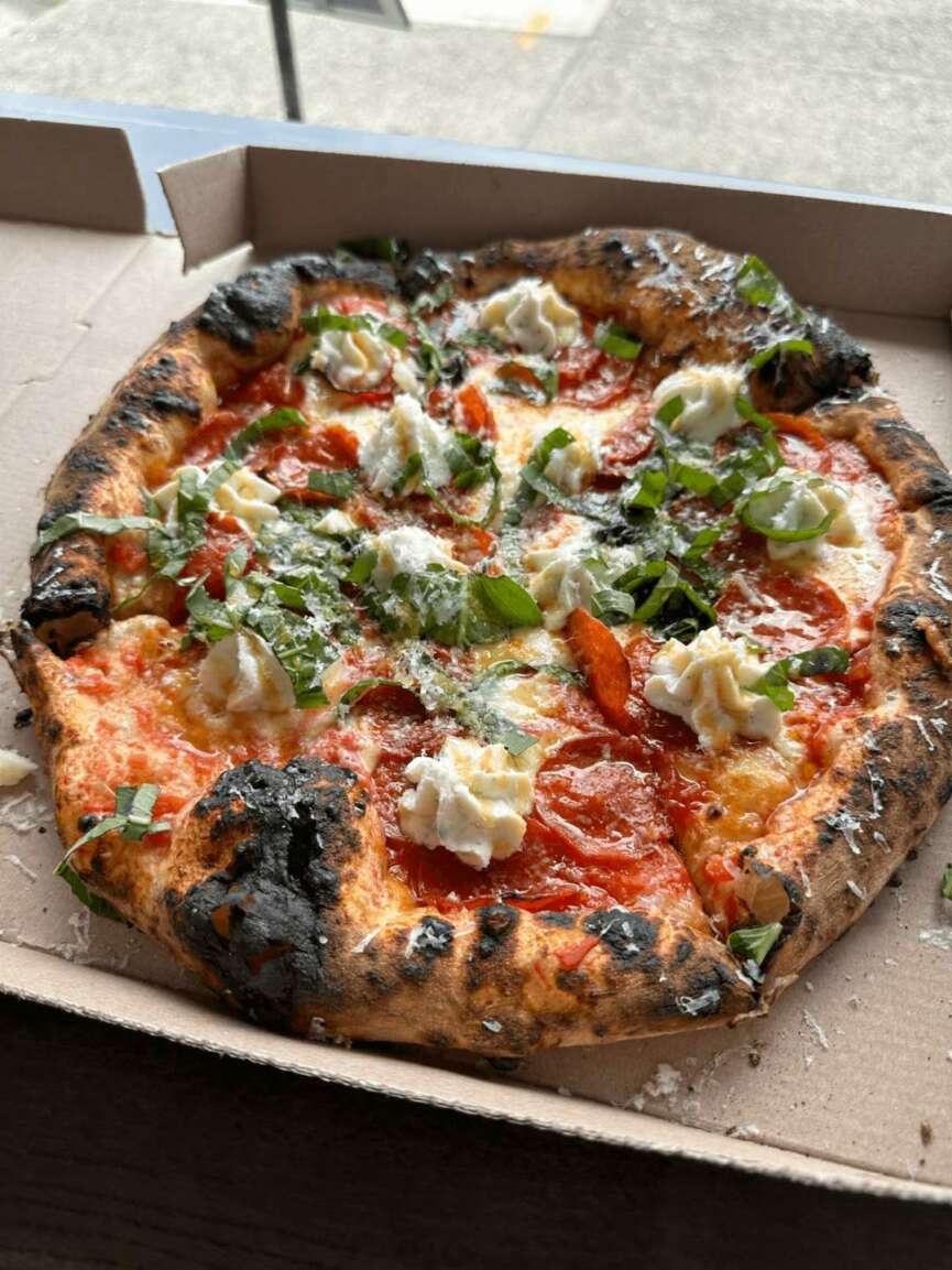 Meet Emily Ponczek – CanvasRebel Magazine