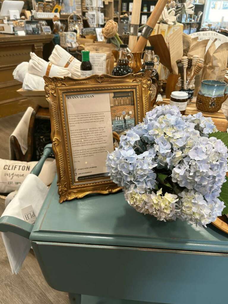 Meet Robin Moser – CanvasRebel Magazine