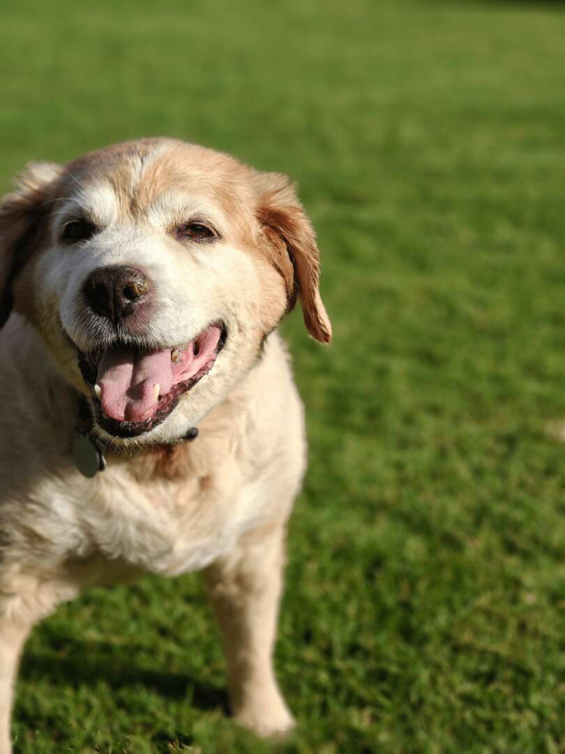 Meet Angela Manning-Mccay – CanvasRebel Magazine