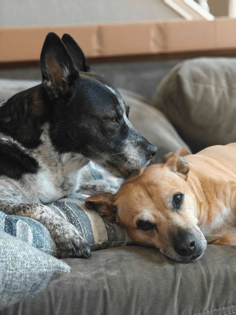 Meet Angela Manning-Mccay – CanvasRebel Magazine