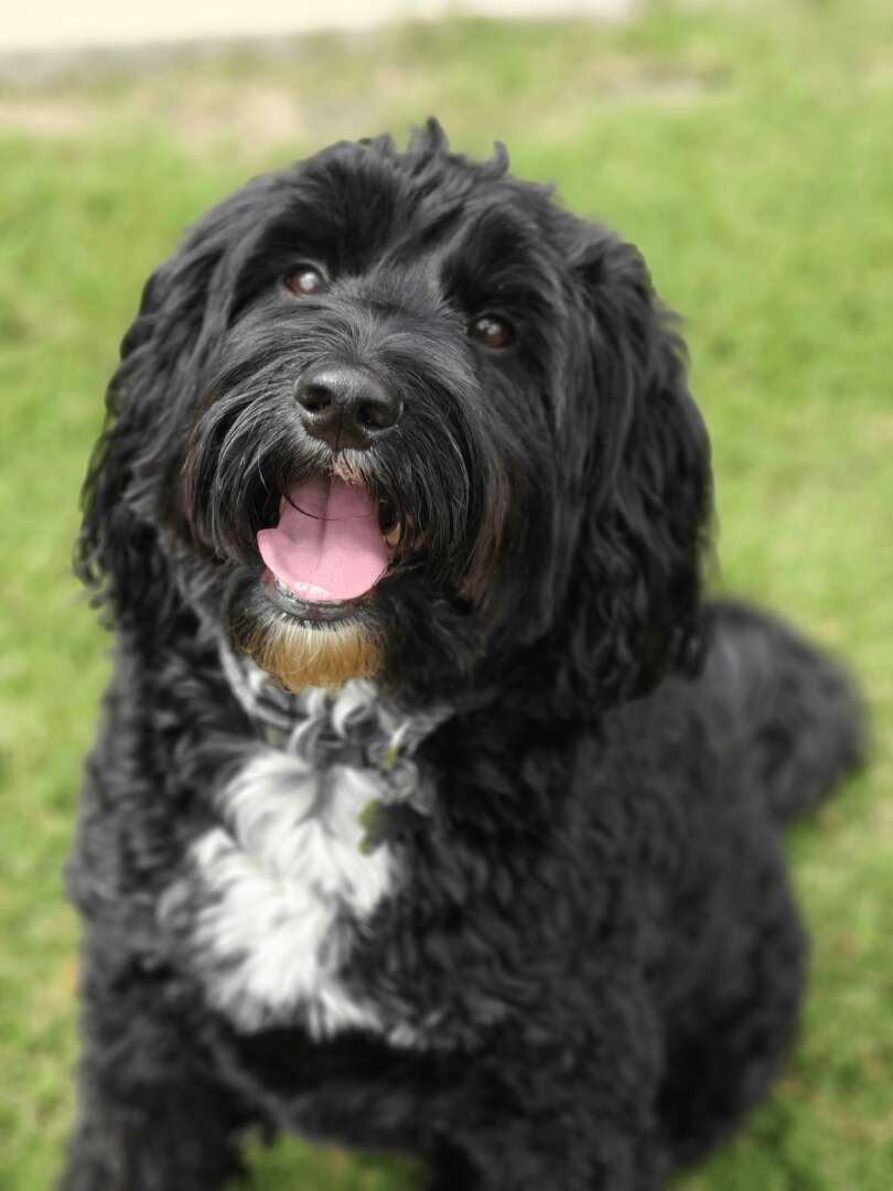 Meet Angela Manning-Mccay – CanvasRebel Magazine