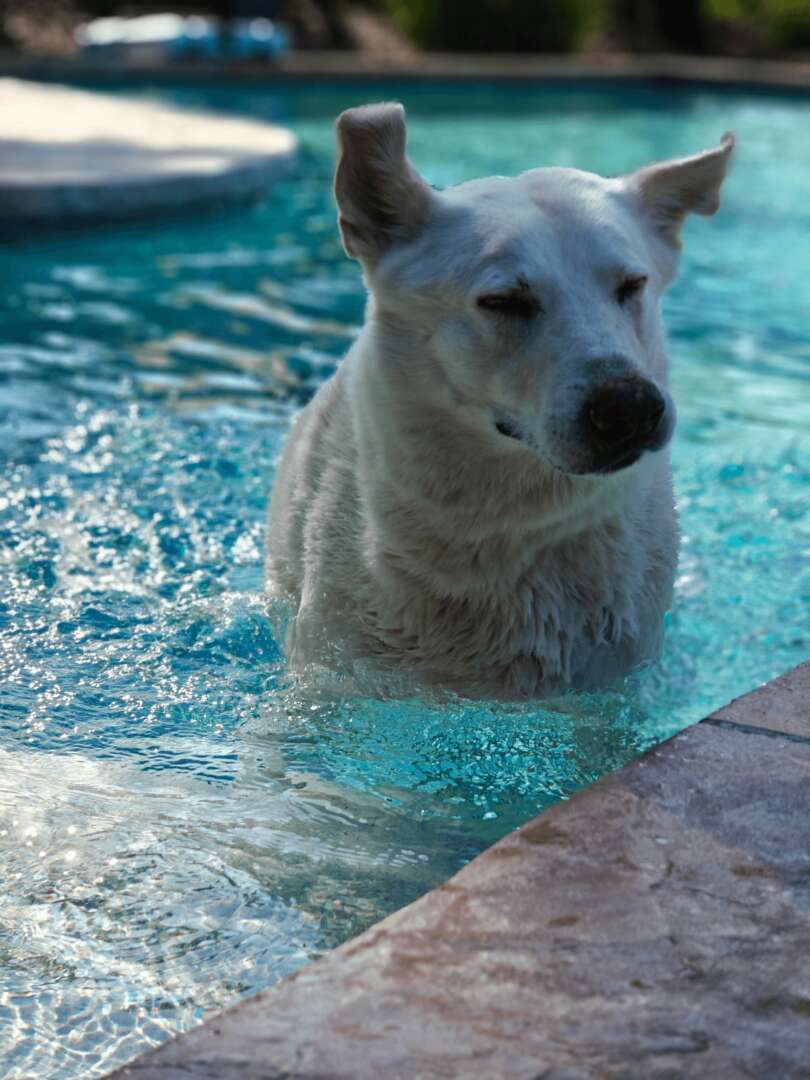 Meet Angela Manning-Mccay – CanvasRebel Magazine