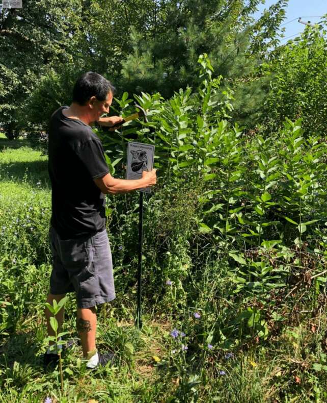 Meet Acouplewithoutborders Robyn & Paul – CanvasRebel Magazine