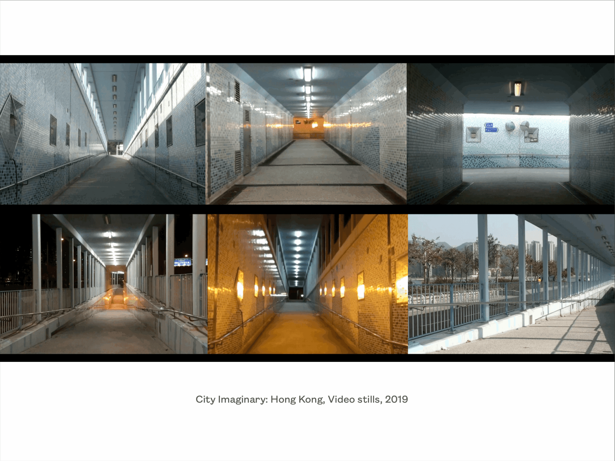 Meet Yalin Zhao – CanvasRebel Magazine