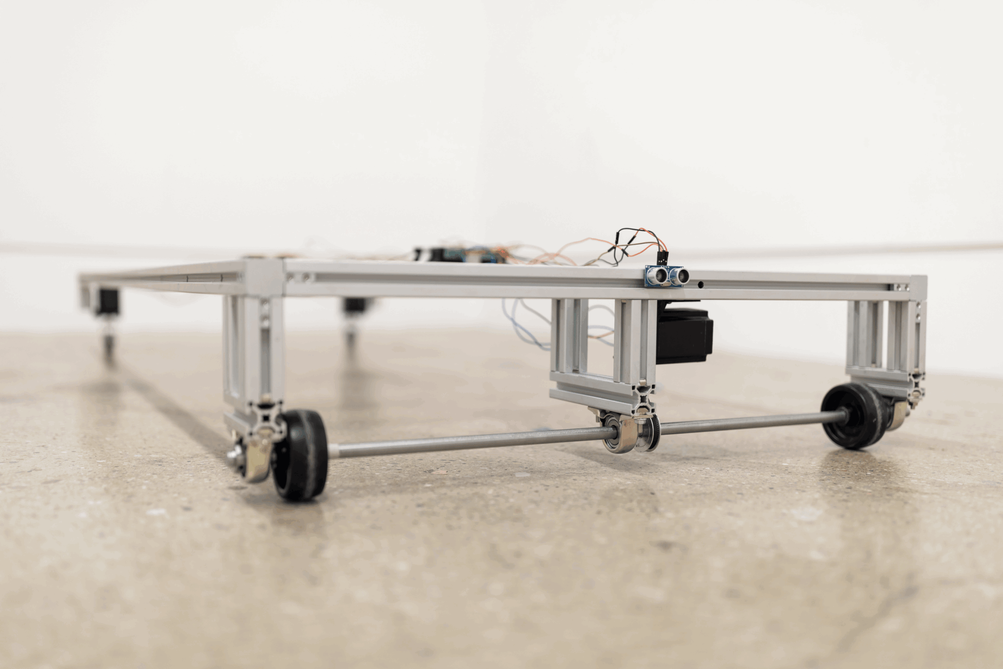 Meet Yalin Zhao – CanvasRebel Magazine