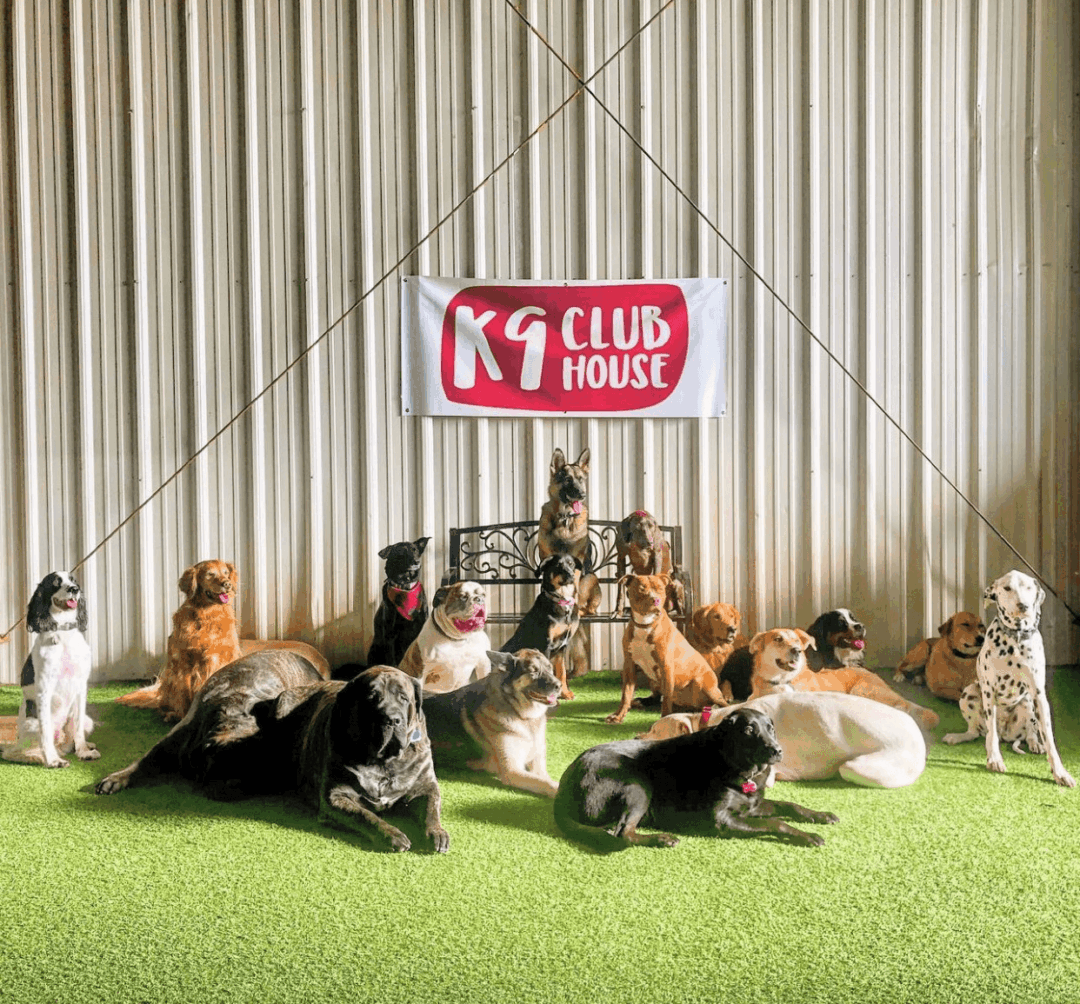 Meet Ryan Stubbs – CanvasRebel Magazine