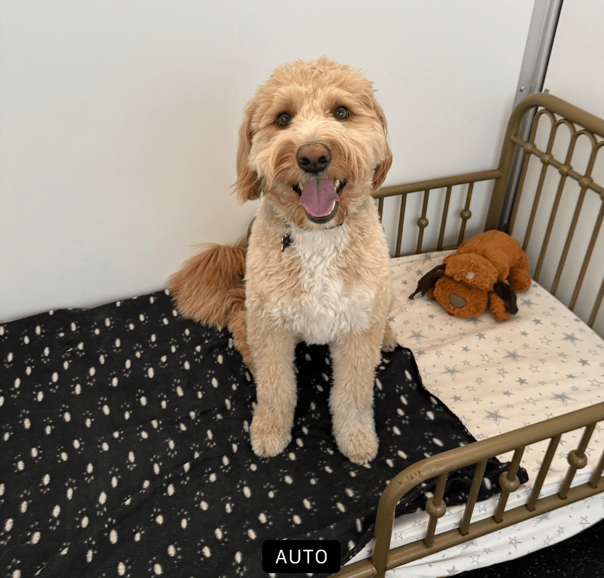 Meet Ryan Stubbs – CanvasRebel Magazine