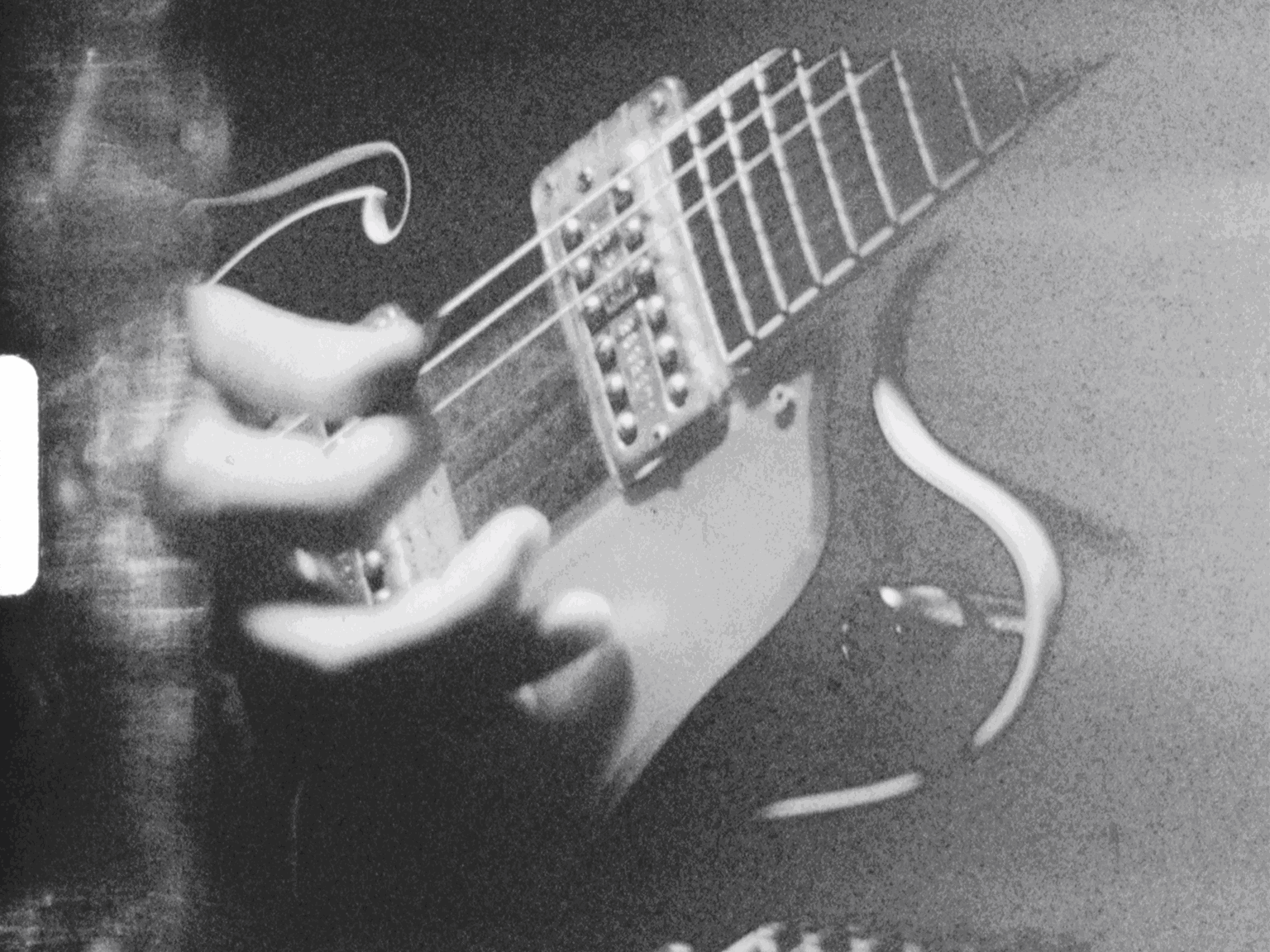 Meet Malo Sutra Fish – CanvasRebel Magazine