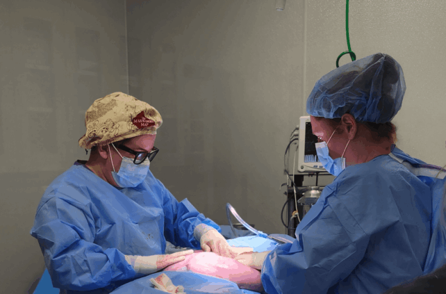 Meet Kaleigh Robinson – CanvasRebel Magazine