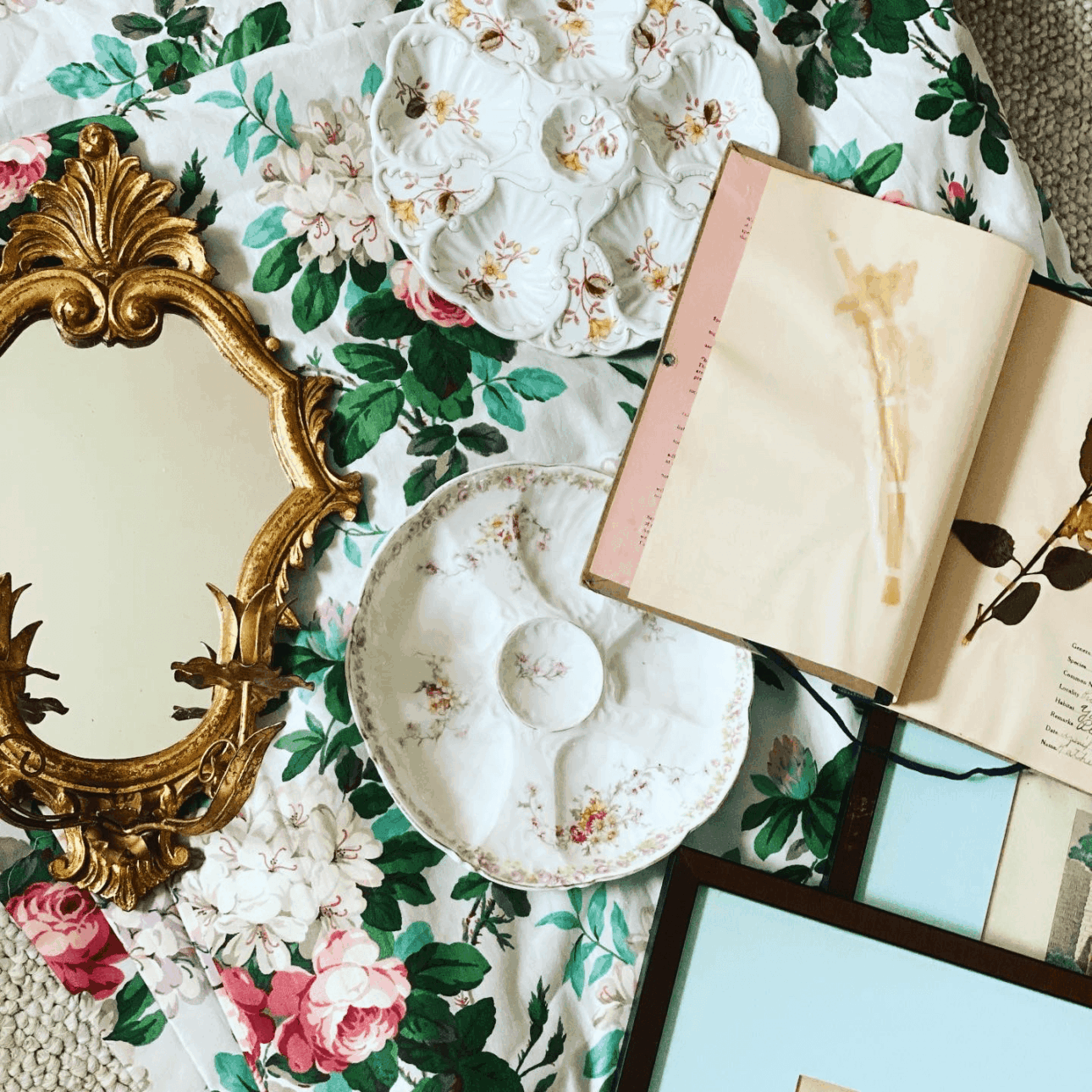 Meet Stephanie Kokolis – CanvasRebel Magazine