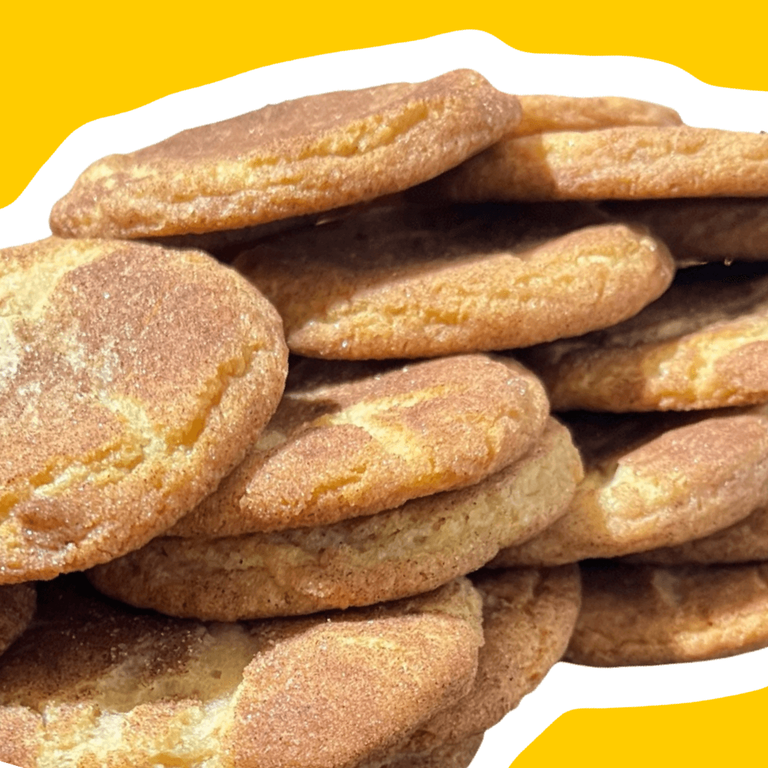 Meet Haley Easy – CanvasRebel Magazine