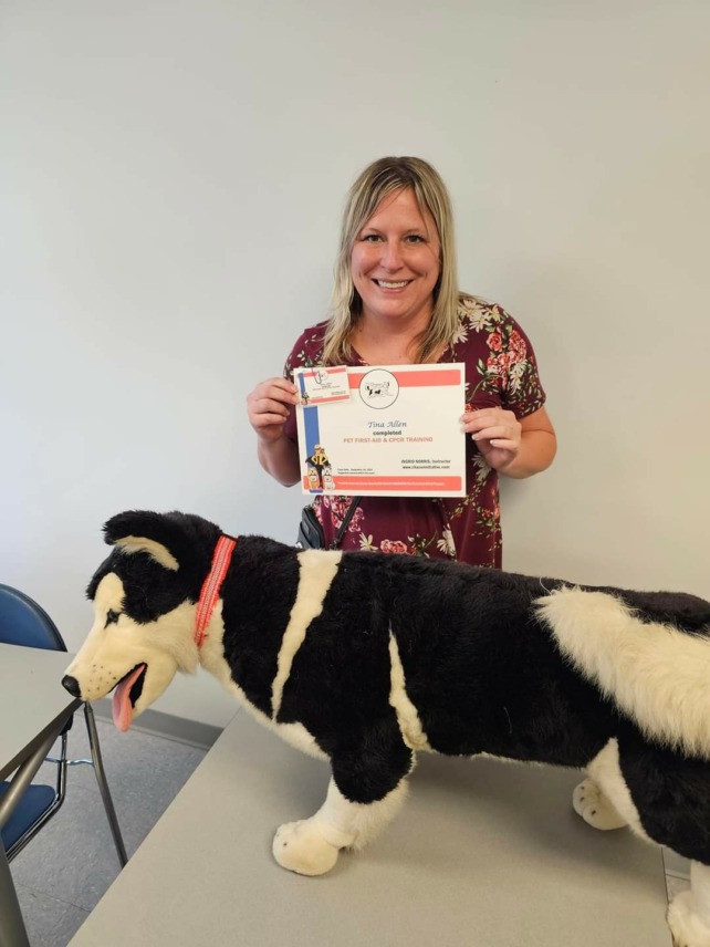 Meet Tina Allen – CanvasRebel Magazine