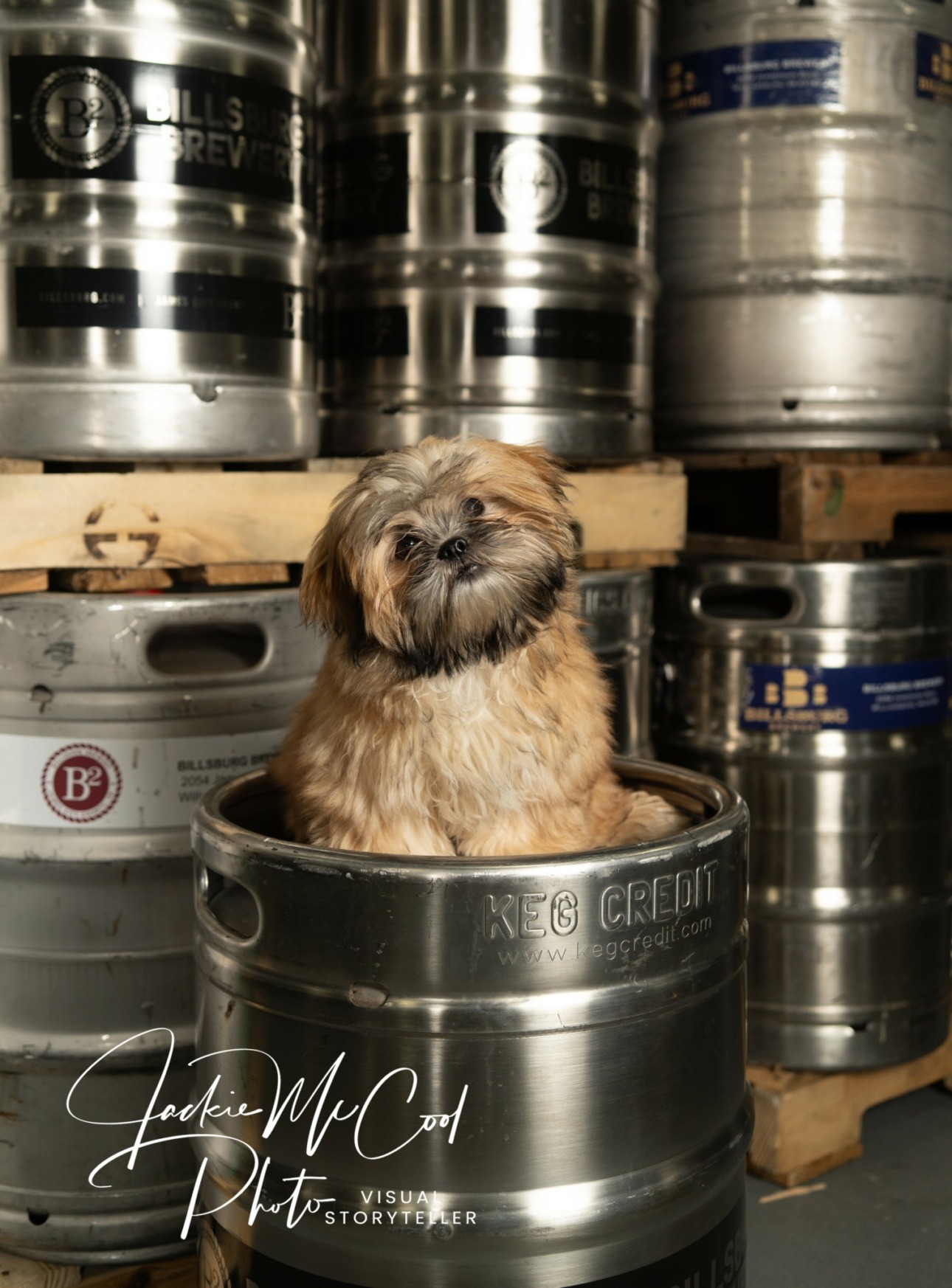 Meet Jackie Mccool – CanvasRebel Magazine