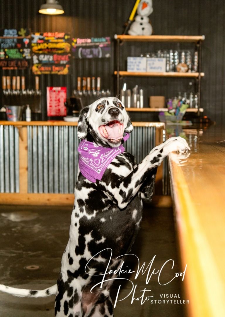 Meet Jackie Mccool – CanvasRebel Magazine