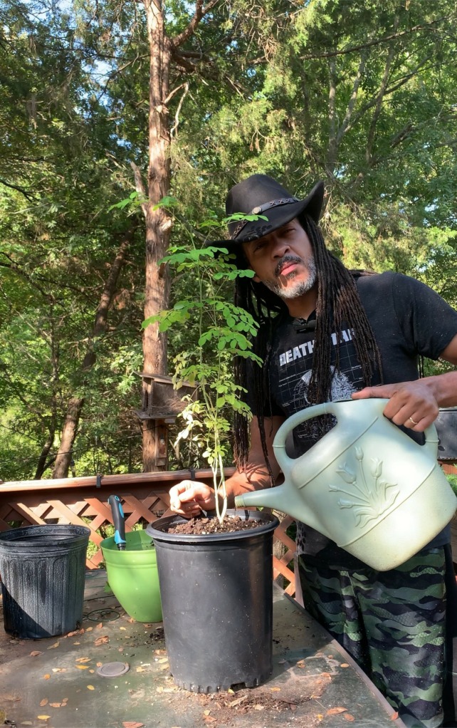 Meet Graylen Brown – CanvasRebel Magazine