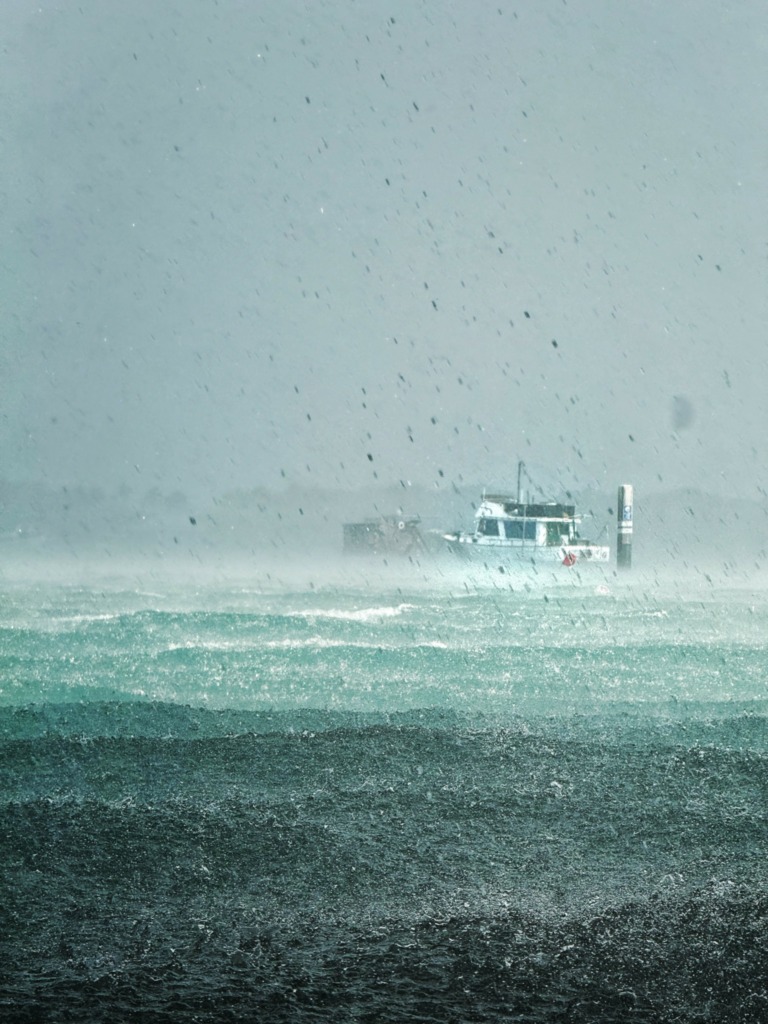 Meet Robbie Patton – CanvasRebel Magazine