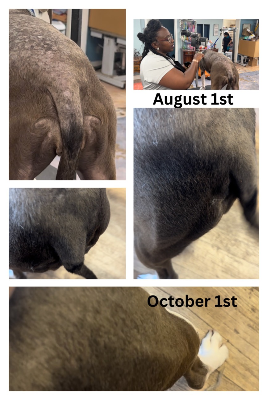 Meet Monique Esberry – CanvasRebel Magazine