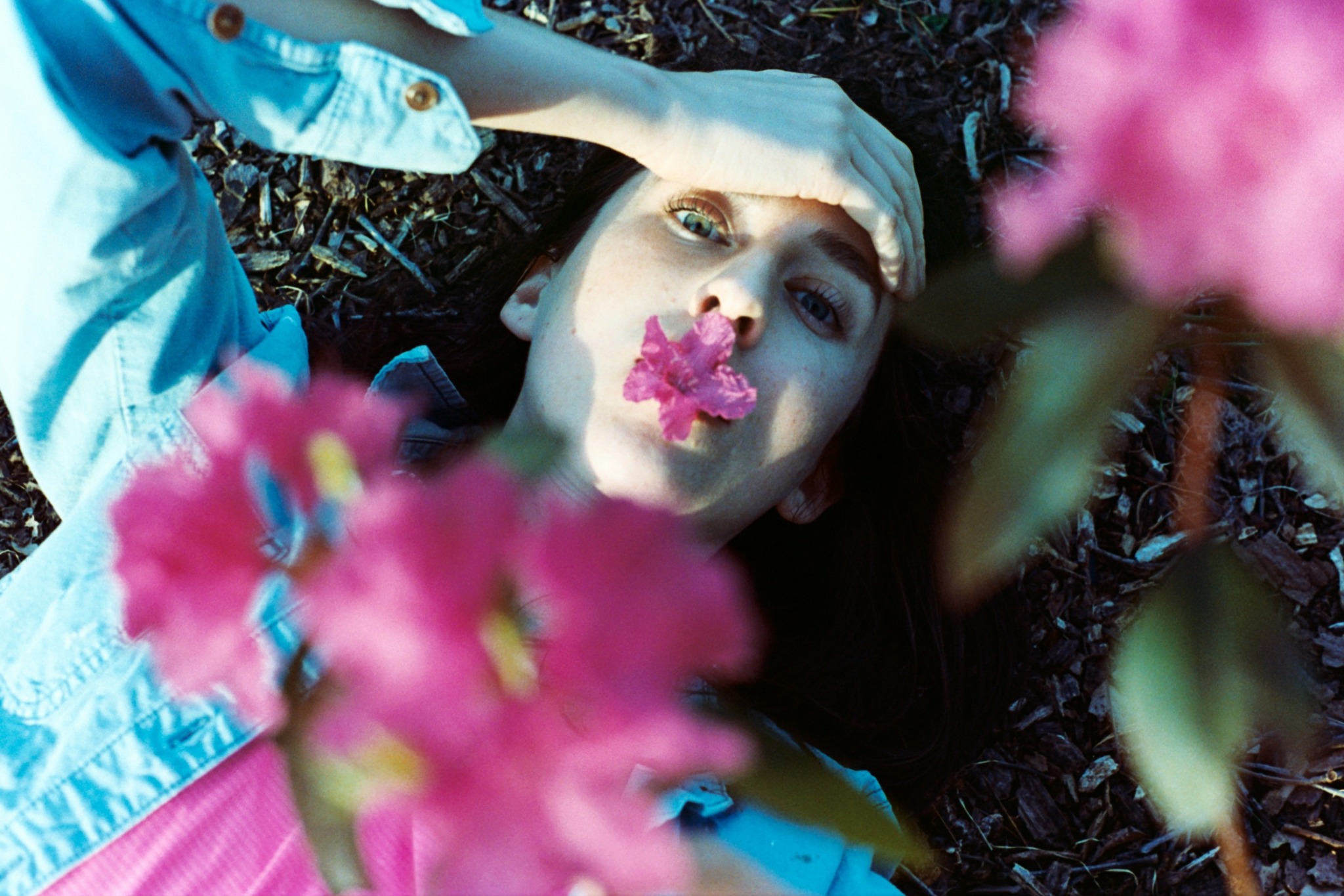 Meet Laura Hobson – CanvasRebel Magazine