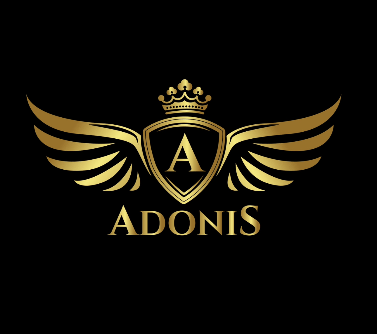 Exploring Life & Business with Adonis Moise of Adonis Fitness LLC ...