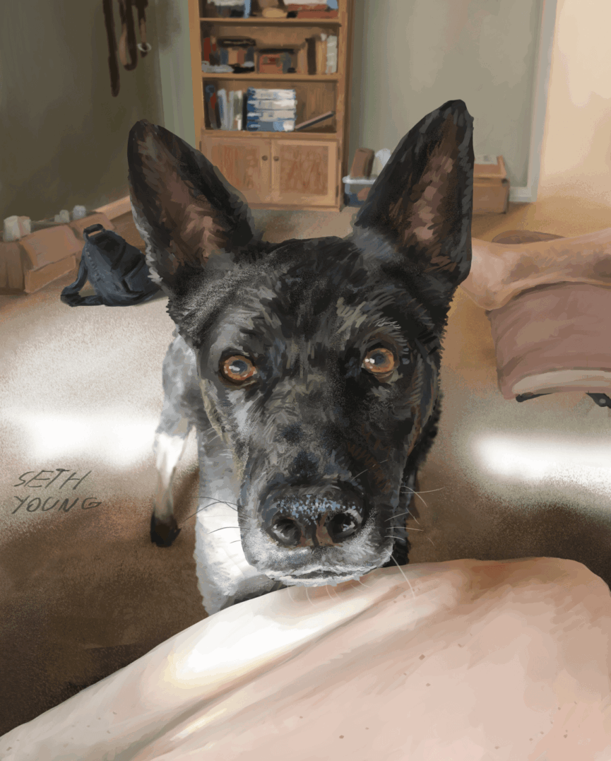 Rising Stars: Meet Seth Young – CanvasRebel Magazine