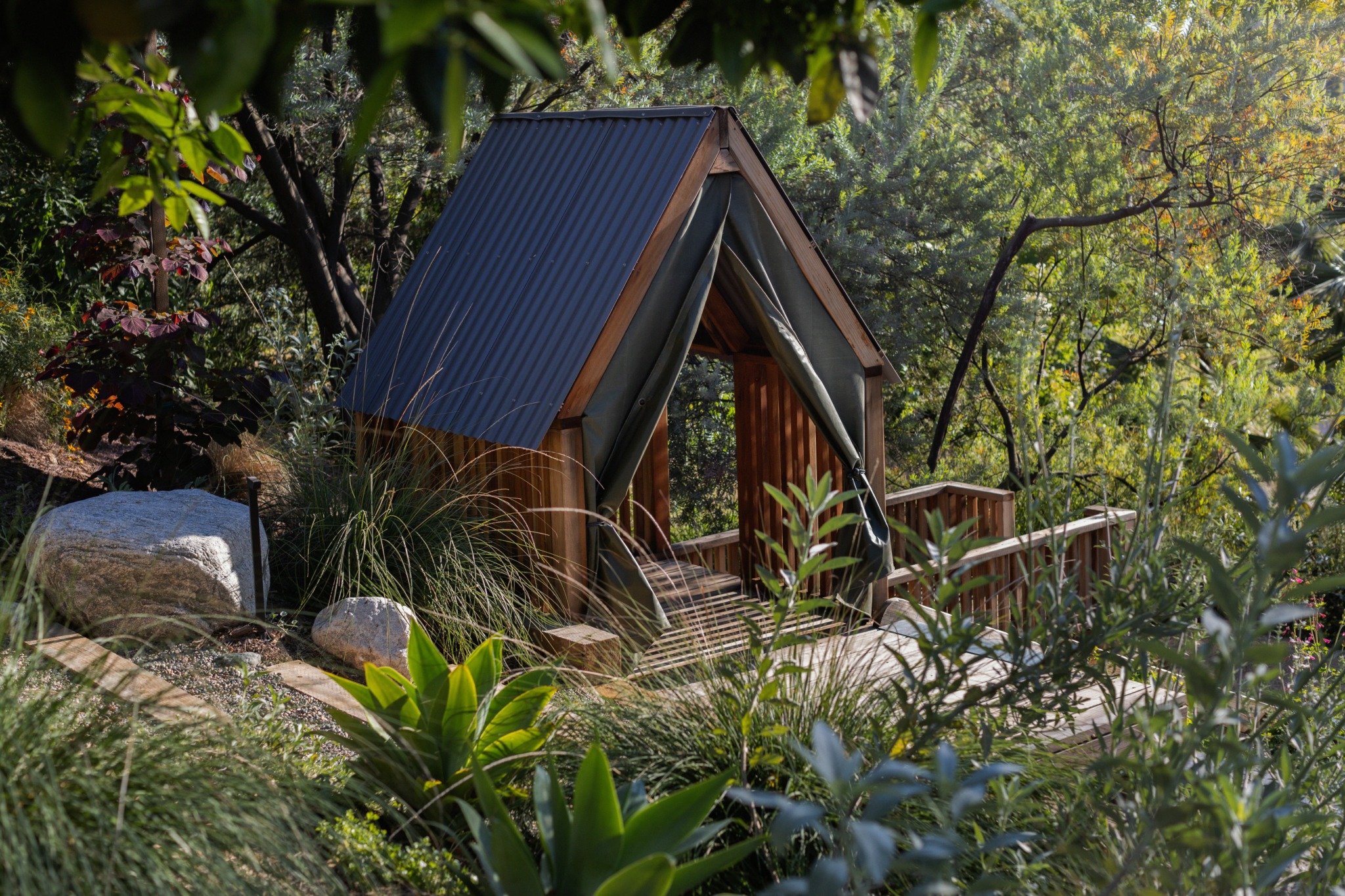 Meet Neive Tierney – CanvasRebel Magazine