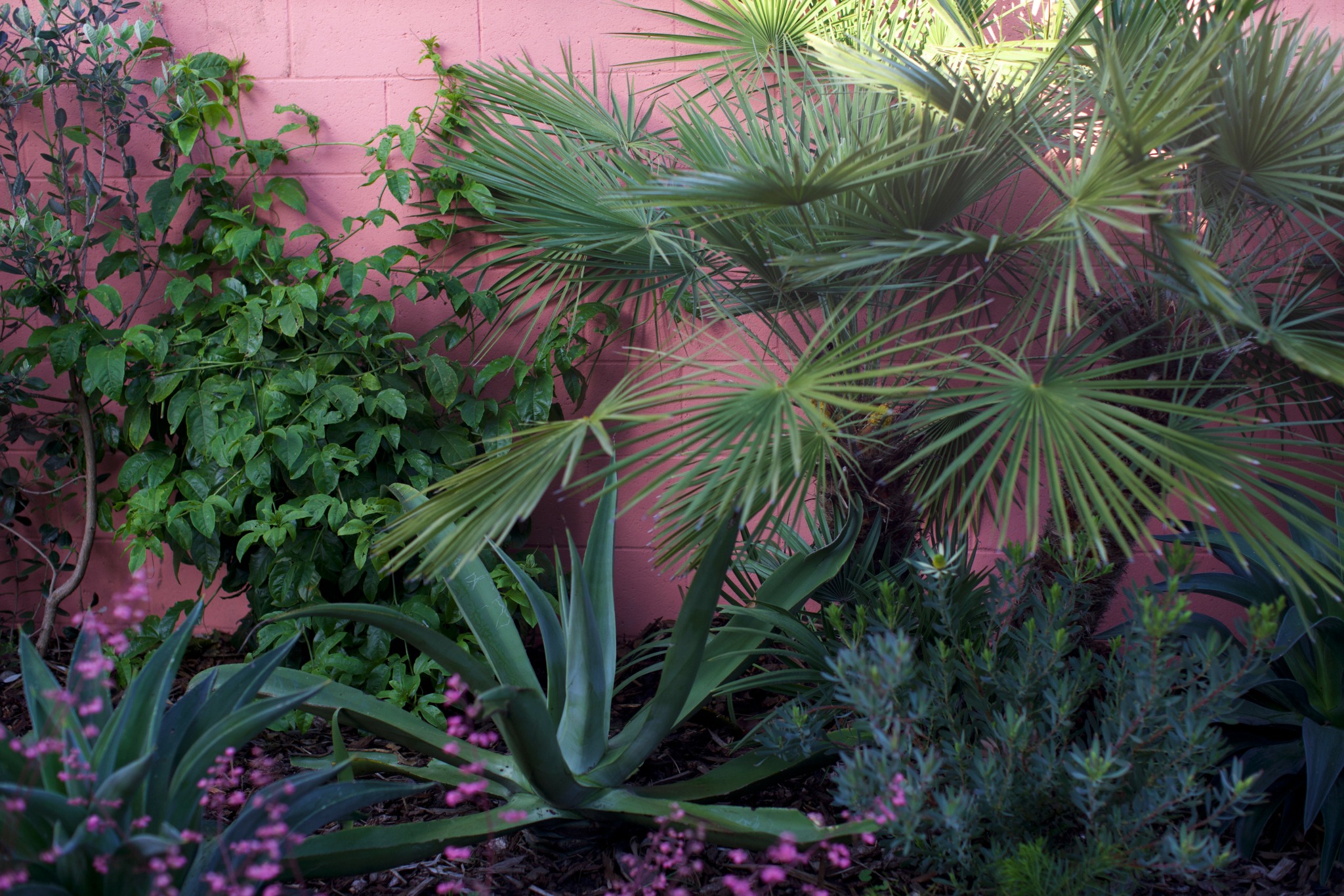 Meet Neive Tierney – CanvasRebel Magazine