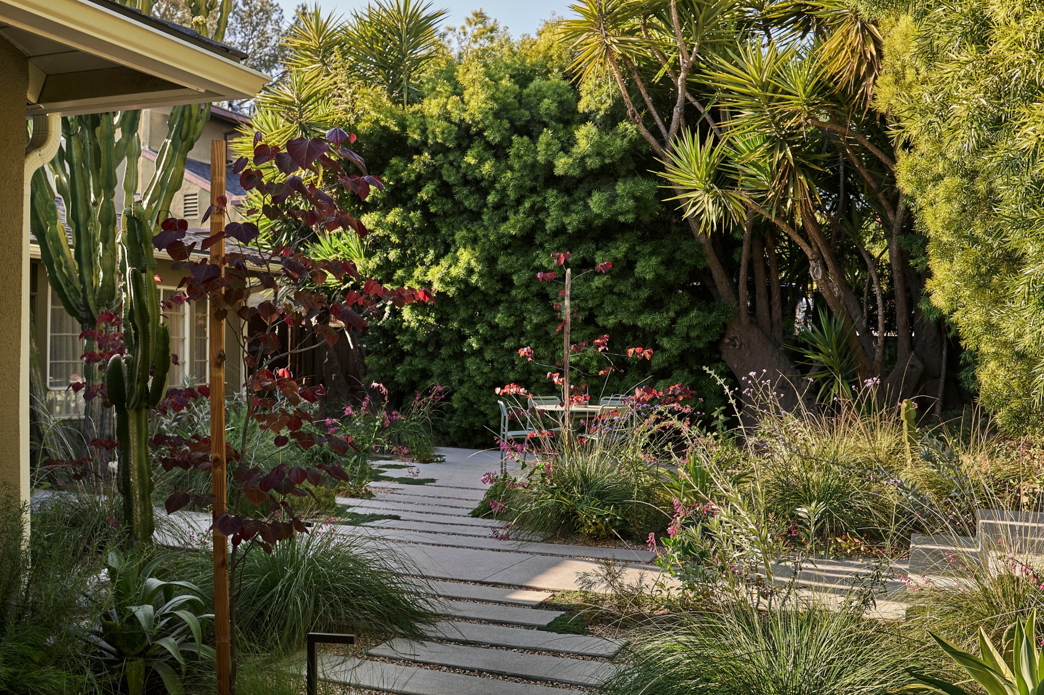 Meet Neive Tierney – CanvasRebel Magazine