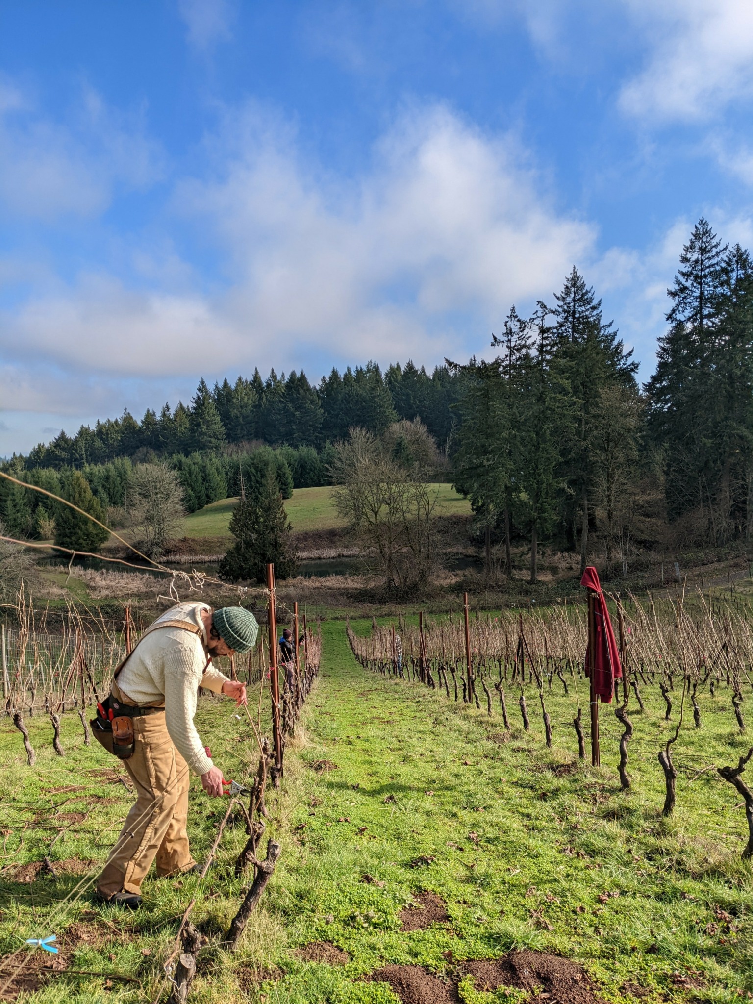 Meet Travis Todd – CanvasRebel Magazine