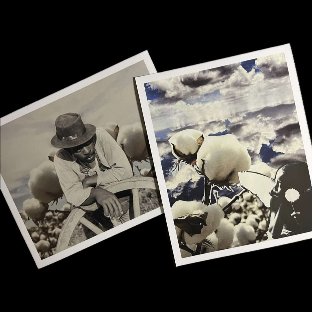 Meet Jas Turk – CanvasRebel Magazine