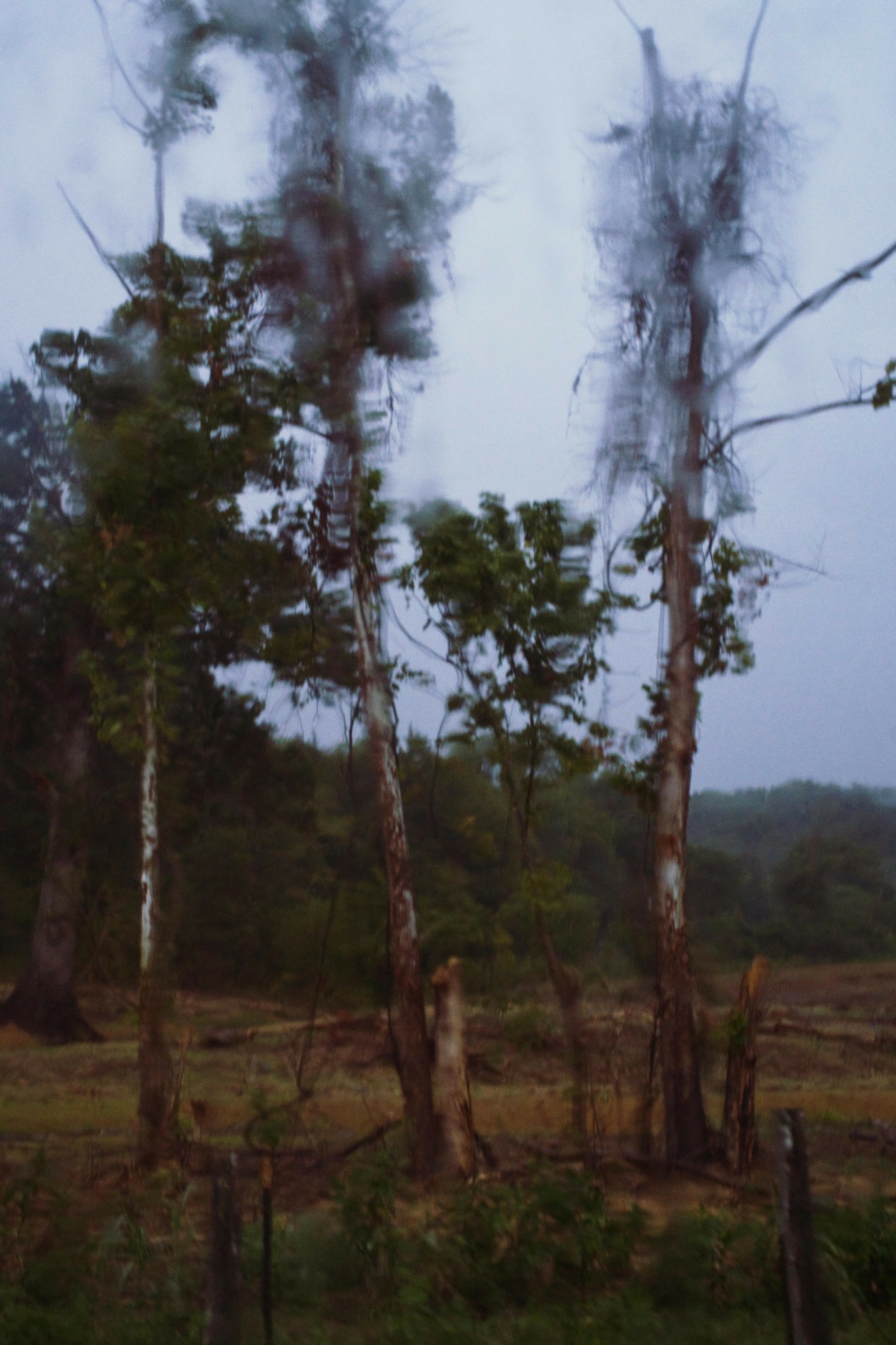 Meet Caleb Turner – CanvasRebel Magazine